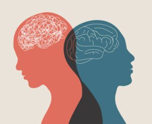 The Neuroscience of Love: 3 Stages and What Happens in Your Brain ...